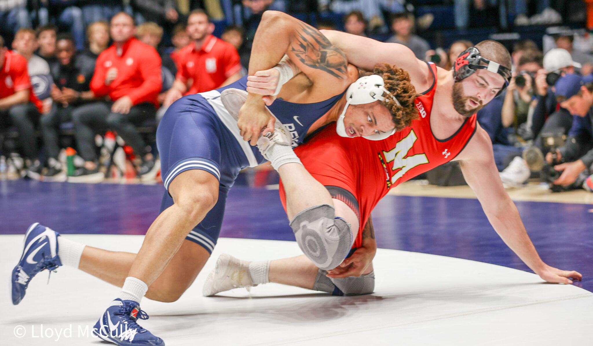 Penn State Wrestlers Secure 7 All American Honors in Quarterfinals ...
